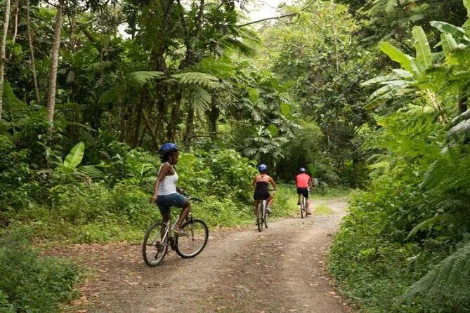 Day of Adventure - Zipline and Hike or Bike - The Reviews: Authentic Perspectives