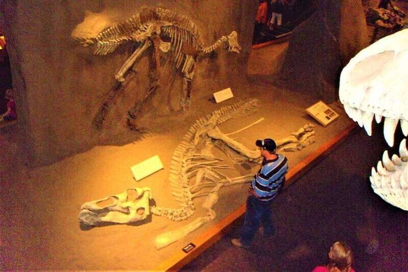 Day of Dinosaurs and Hoodoos From Calgary to the Badlands - An In-Depth Look at the Tour Itinerary