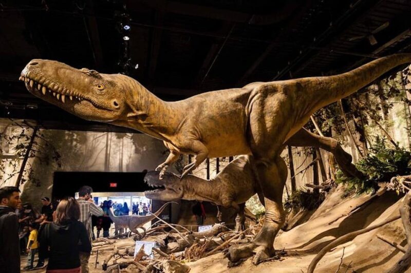 Day of Dinosaurs and Hoodoos From Calgary to the Badlands - Practical Tips for Travelers