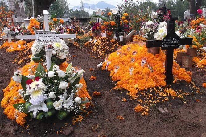 Day of the Dead Tour Nov-1 - Key Points