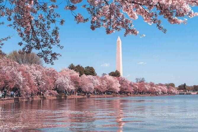 Day or Night Private DC Monuments Tour | Luxury Stretch Limo - Analyzing the Value