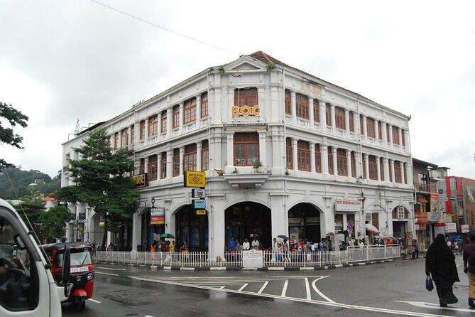 Day out to Galle[Stilt Fishing. Turtle watching.Cinnamon Farm] - Final Thoughts: Who Is This Tour for?