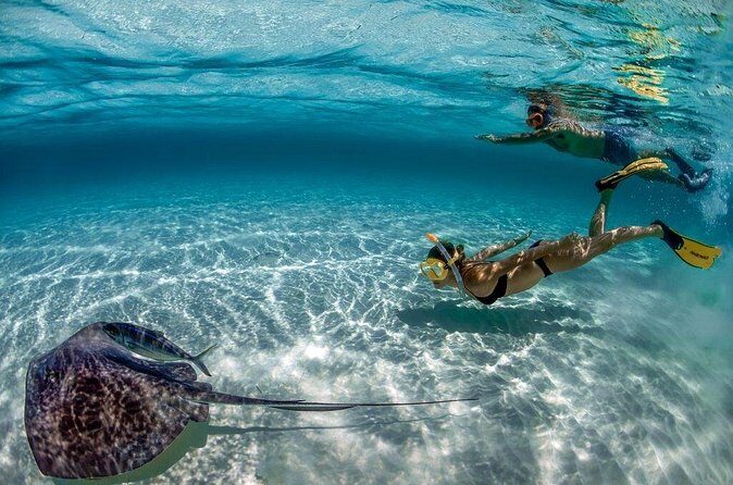 Day Pass To Cozumel Snorkeling By Boat - FAQ