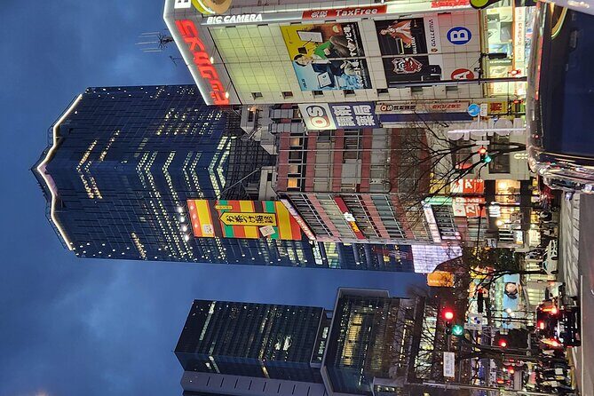 Day Private City Tour of Tokyo with English speaking driver - Final Thoughts