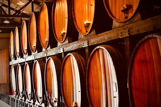 Day Private Russian River Valley Wine Tour from San Francisco - An Overview of the Tour Experience