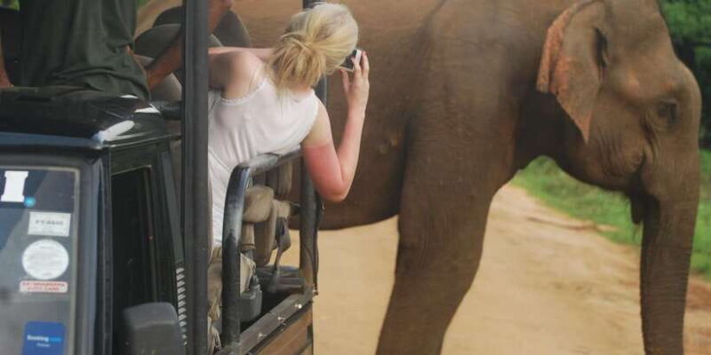 Day Safari From Hambantota - Key Points