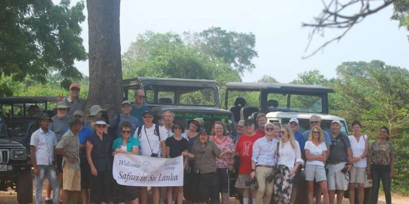 Day Safari From Hambantota - An Honest Look at the Reviews