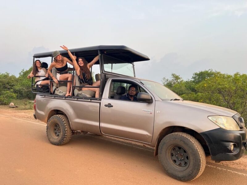 Day Safari From Hambantota - The Value Proposition