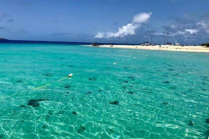 Day Sail without transportation - The Experience: A Detailed Look