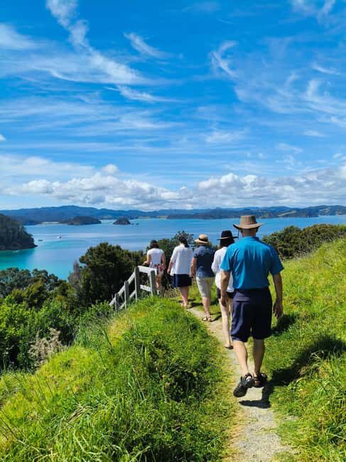 Day Sailing Charter on Catamaran with Lunch : Bay Of Islands - Exploring the Experience: What to Expect