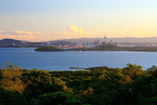 Day sea kayak tour Rangitoto Island - A Detailed Look at the Tour Experience