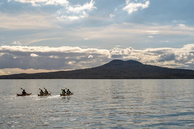 Day sea kayak tour Rangitoto Island - Who Would Love This Tour?