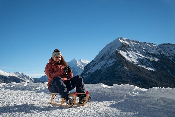 Day Sledding in Interlaken - Who Should Consider This Tour