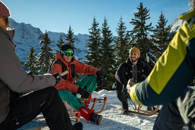 Day Sledding in Interlaken - The Sum Up: Who Will Love This Sledding Adventure?