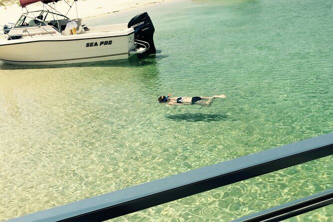 Day Snorkeling Tour in Orange Beach - Authentic Experiences from the Reviews