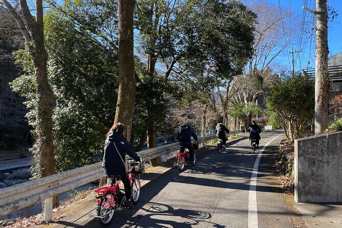 Day Tokyo Backcountry Okutama with E-bike - Key Points