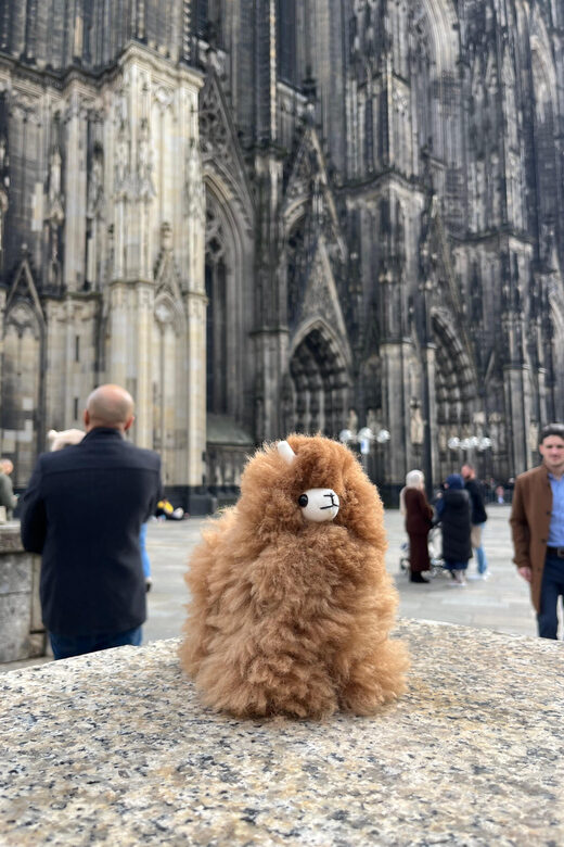 Day tour Aachen & Cologne from Brussels - Overall Experience and Authenticity
