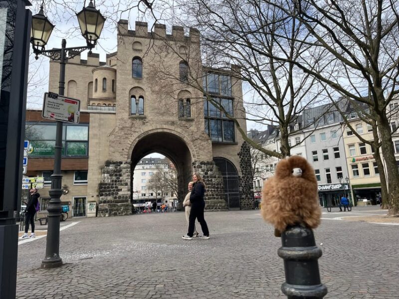 Day tour Aachen & Cologne from Brussels - Practical Considerations