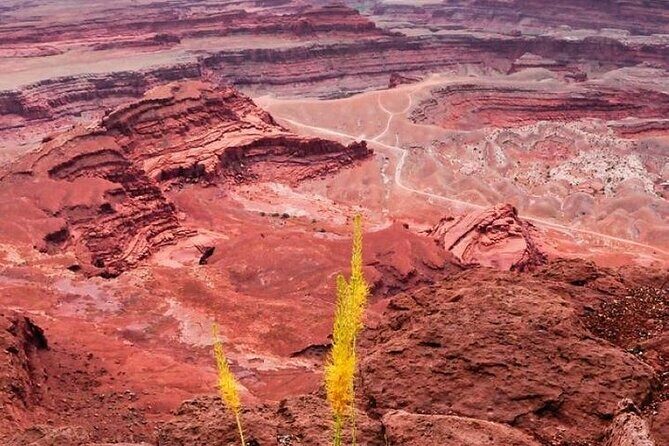 Day Tour Arches and Canyonlands National Park in Utah - Starting at Moab: An Early Morning Departure