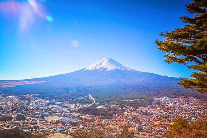 Day Tour at Mt. Fuji, Kawaguchi Lake and Oshino Hakkai in Tokyo - Transportation and Comfort