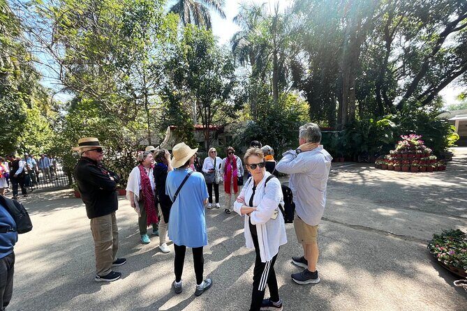 Day Tour By Car and Driver Udaipur City with Guide - Who Should Consider This Tour?