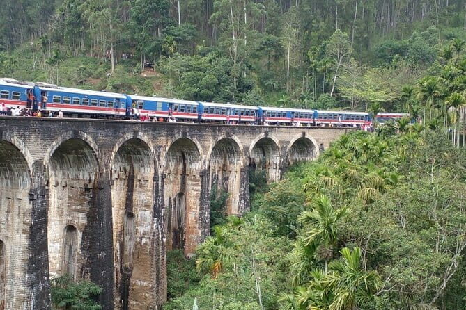 Day Tour Ella with Train Ride, Little Adams Peak and Nine Arches - Transportation, Timing, and Group Dynamics
