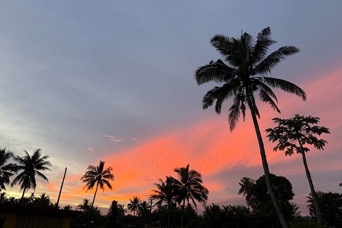 Day Tour Exploration of Fiji Culture and Nature - What’s Included and What to Bring