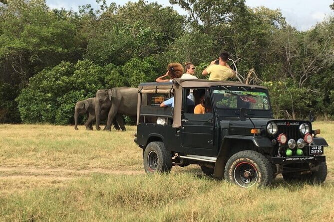 Day Tour from Colombo to Yala National Park Safari - Final Thoughts: Is This Tour Right for You?