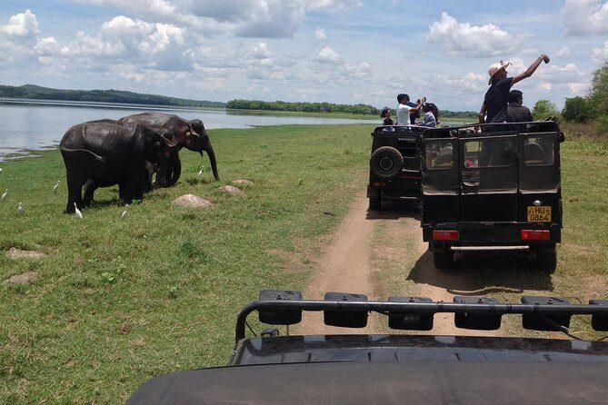 Day Tour from kandy to Sigiriya, Dambulla & National Park safari. - Introduction