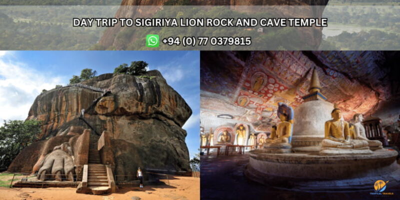 Day Tour from Kandy:Explore Sigiriya Lion Rock & Cave Temple - Key Points