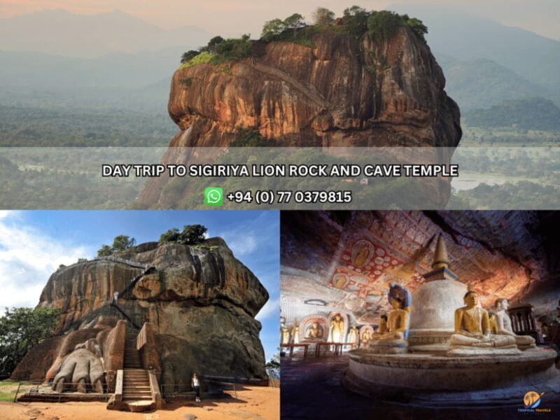 Day Tour from Kandy:Explore Sigiriya Lion Rock & Cave Temple - Who Should Consider This Tour?