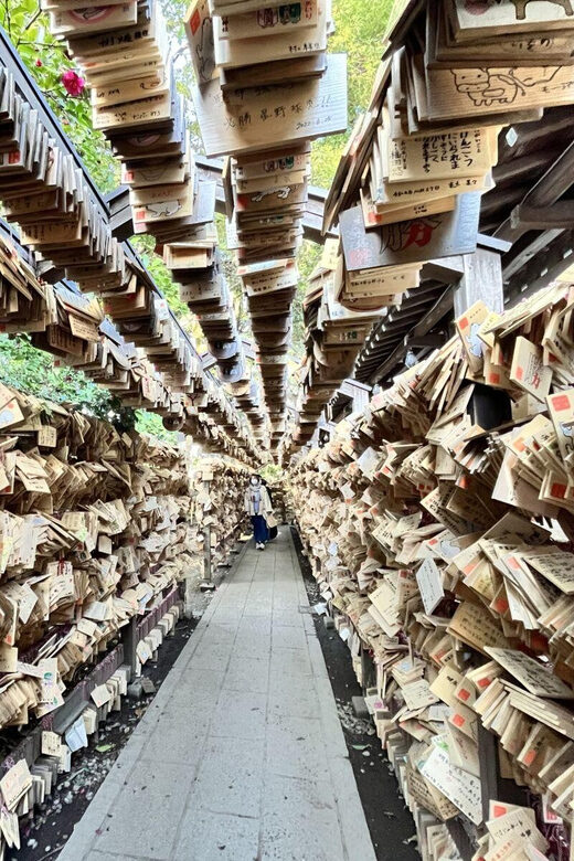 Day Tour from Tokyo : Experience Kawagoe and Edo Japan - A Close Look at the Kawagoe Day Tour