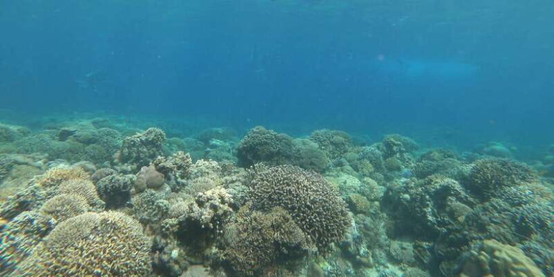 Day Tour Gili Trawangan, Gili Meno, Gili Air (Depart Lombok) - Experience Review Highlights