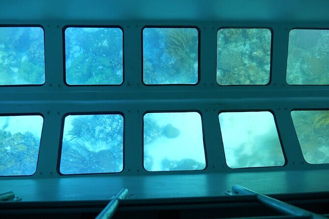Day Tour Glass Bottom Boat In Islamorada - Who Will Love This Tour?