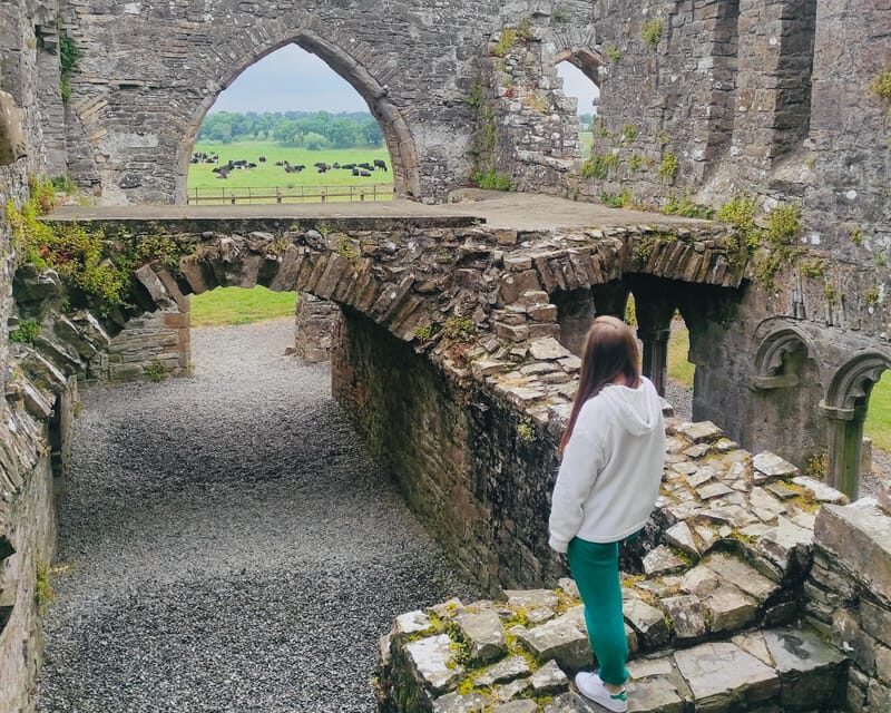 Day Tour: Hill of Tara Trim Castle Boyne Valley Celtic sites - Authentic Feedback from Past Travelers