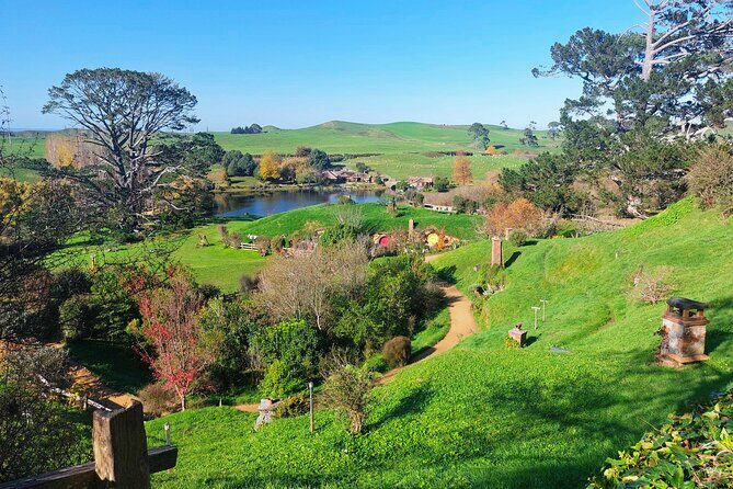 Day Tour Hobbiton + Rotorua from Auckland in Luxury Minibus - Who Will Love This Tour?