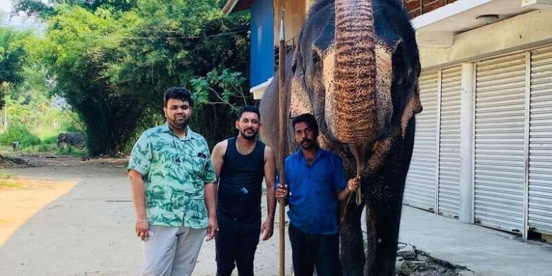 Day tour In Awesome Kandy City from Colombo - What Travelers Are Saying