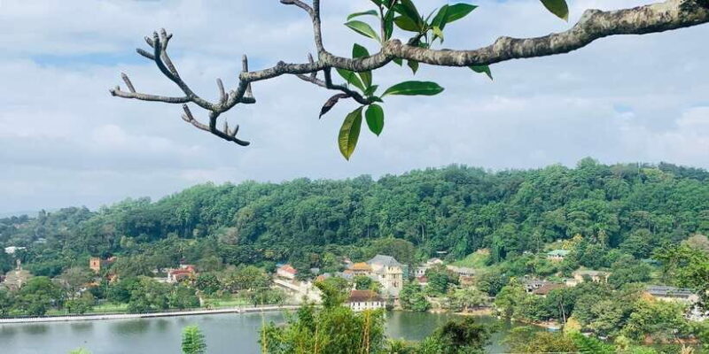 Day tour In Awesome Kandy City from Colombo - Who Will Love This Tour?