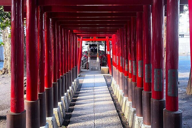 Day Tour in Shinjuku and Kagurazaka Tokyo Hotspot and Hidden Gems - Who Will Get the Most from This Tour?