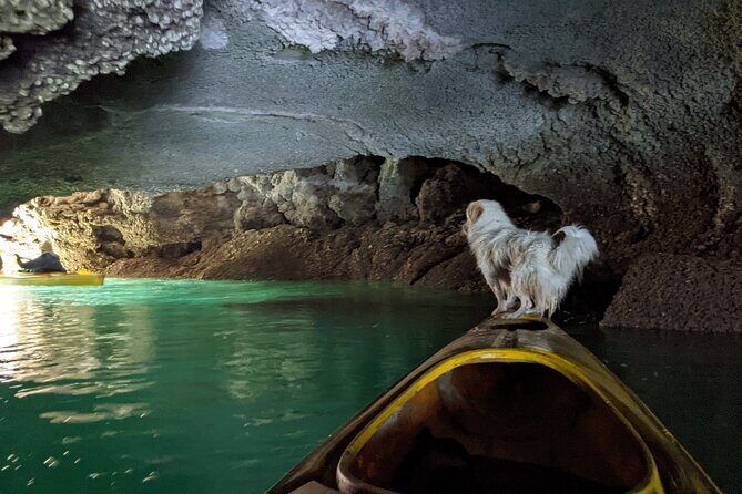 Day Tour: Kayak & Snorkel Boat Tour of Ha Long Bay - Who Will Love This Tour?