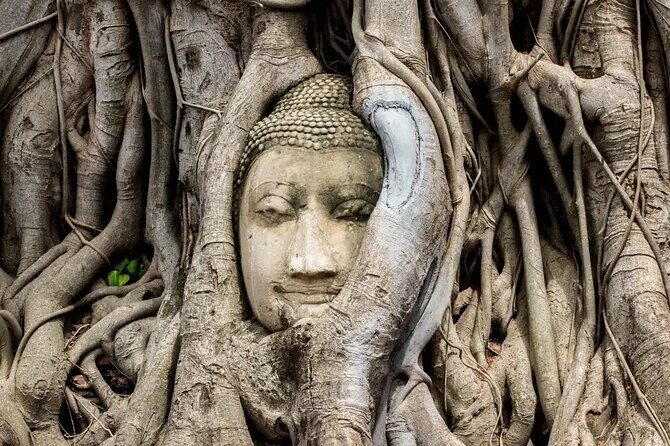 Day Tour of Ayutthaya and Bang Pa-In - Practical Details and What to Expect