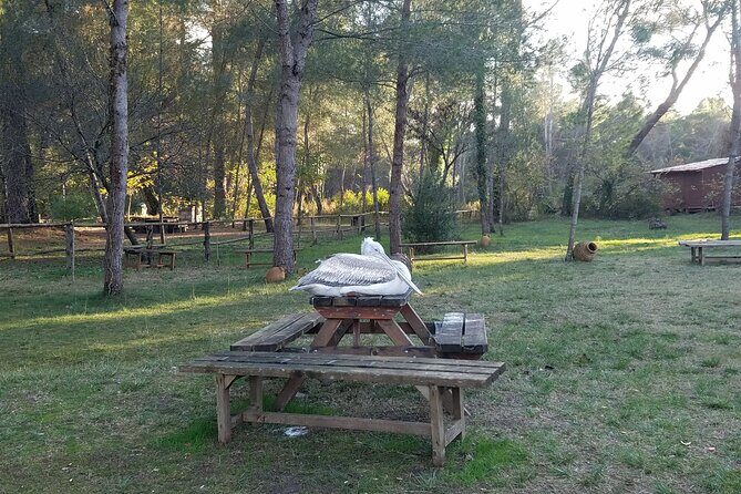 Day Tour of Berat and Karavasta Lagoon from Tirana&Durres - What Travelers Say