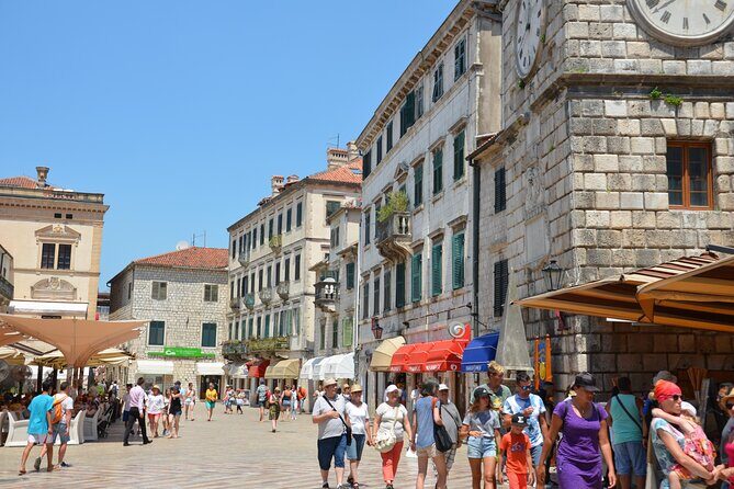 Day Tour of Budva and Kotor Montenegro from From Tirana & Durres - Transport, Timing, and Group Dynamics