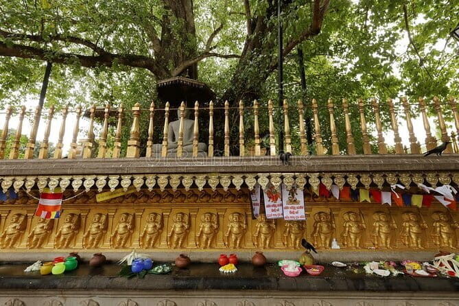 Day Tour of Colombo City - Arcade Independence Square