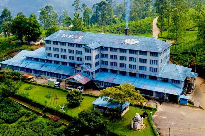 Day Tour of Nuwara Eliya - Who Should Consider This Tour?