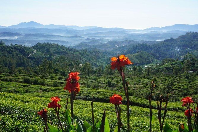 Day Tour of Nuwara Eliya - The Sum Up