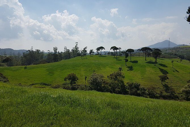 Day Tour of Nuwara Eliya - FAQ