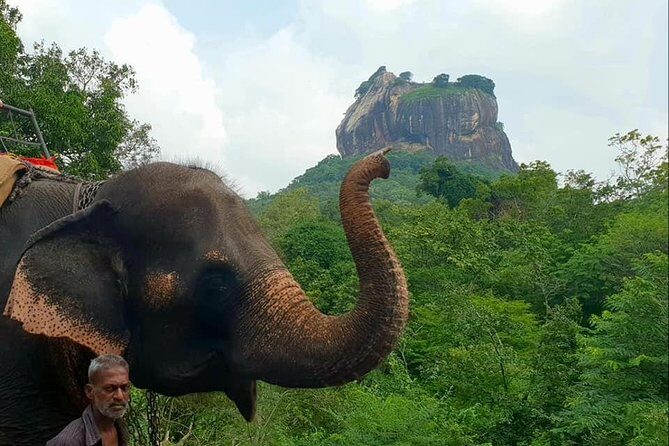 Day Tour of Sigiriya - The Sum Up