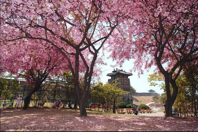 Day Tour of Suwon Hwaseong Fortress Starfield Waujeongsa Temple - The Value of the Tour: Is it Worth It?