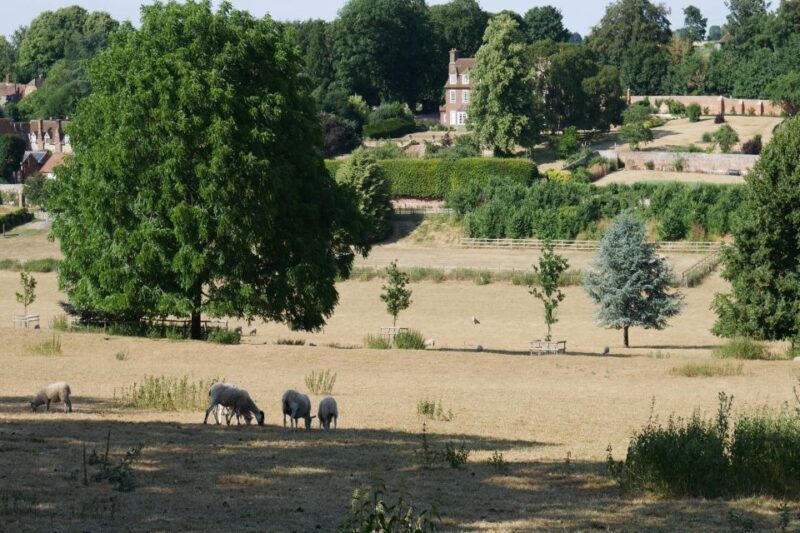 Day-Tour of the Midsomer Murders Locations - Final Thoughts